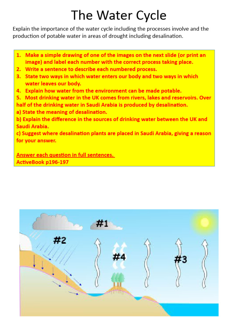 The Water Cycle HW | PDF | Water | Water Cycle