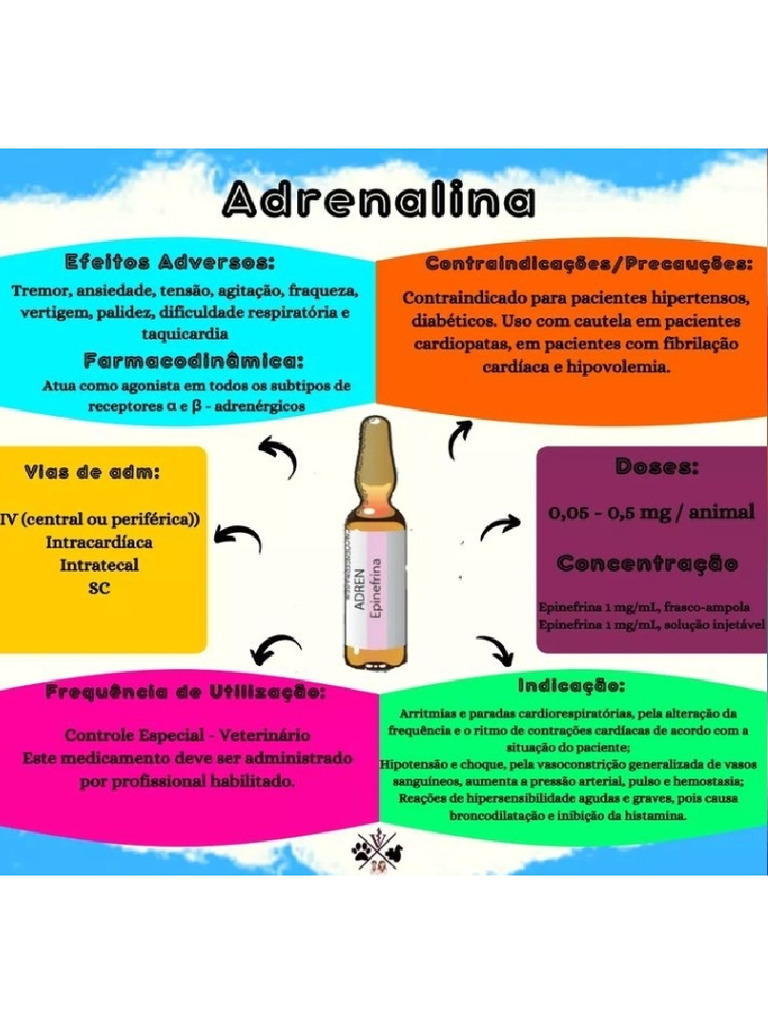 Adrenalina | PDF