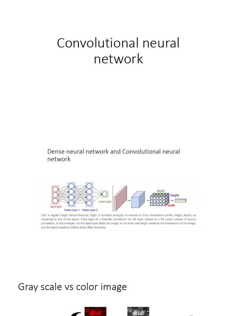 Convolutional Neural Network | PDF | Applied Mathematics | Cybernetics
