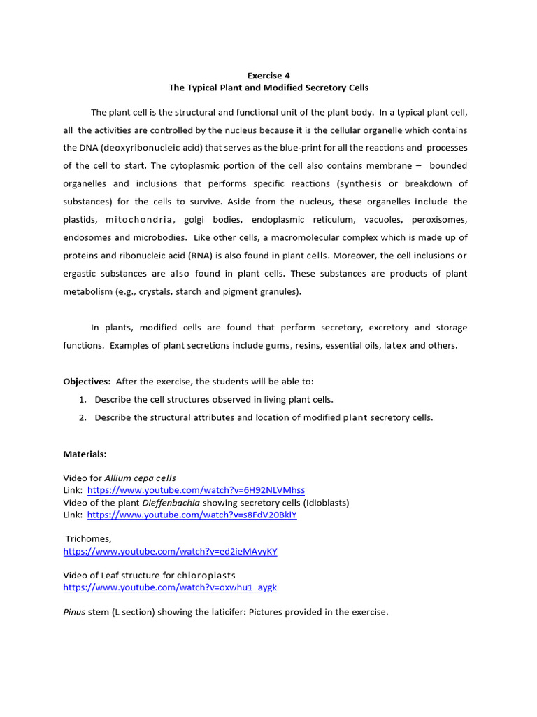Alea - Exercise 4 Typical Plant and Modified Secretory Cells | PDF ...