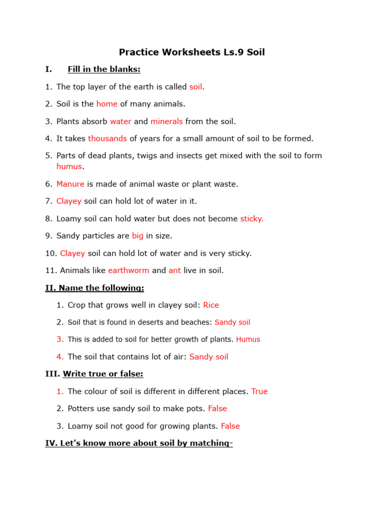 Soil Worksheet for Grade 3 | PDF | Soil | Loam