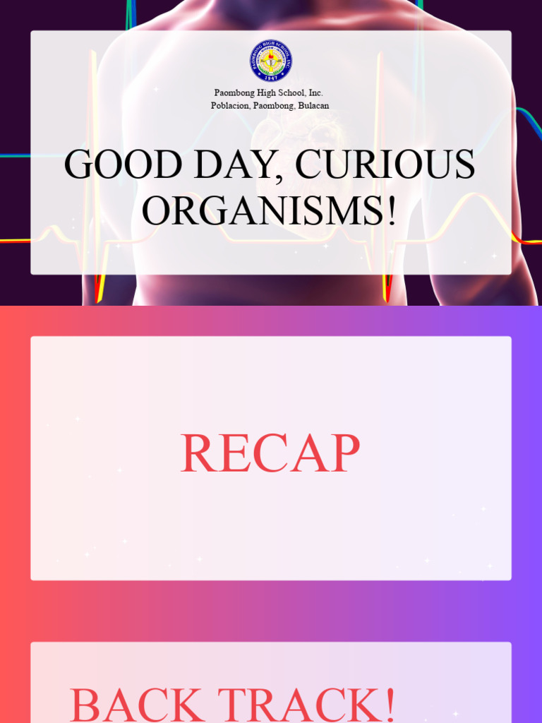 Circulatory System Overview and Functions | PDF