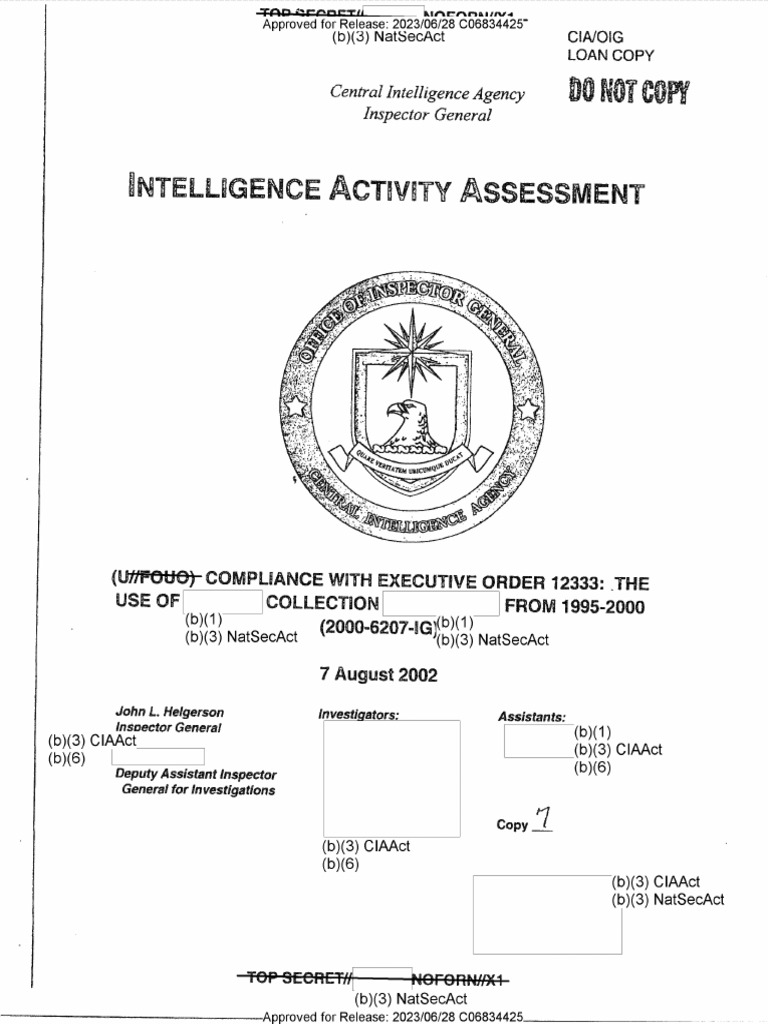 CIA IG Intel Activity Assessment 2002 | PDF