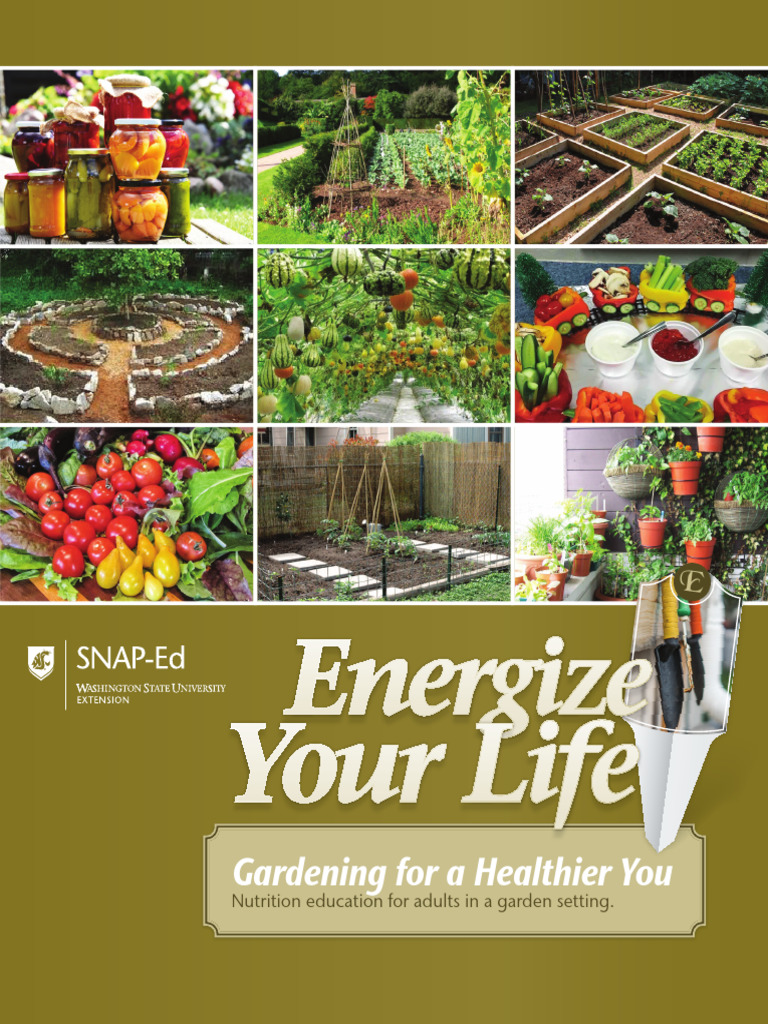 Energize GFHY FullCurriculum | PDF | Learning | Learning Theory (Education)