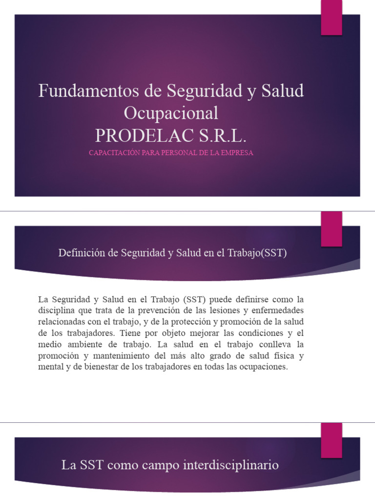 Fundamentos de Seguridad y Salud Ocupacional | PDF | Seguridad y salud ocupacional | La seguridad