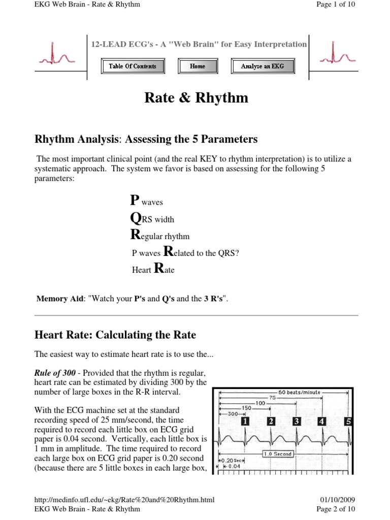 Rate and Rhythm | PDF | Cardiac Arrhythmia | Electrocardiography