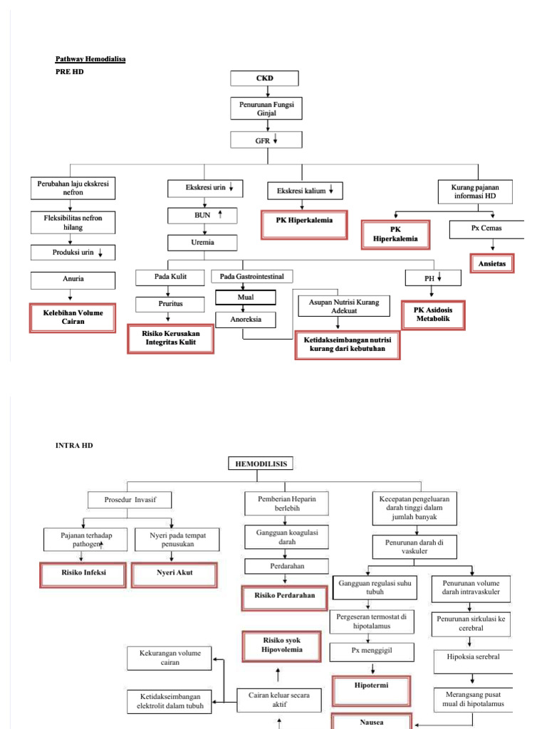 Pathway Hemodialisa dan Risiko Kesehatan | PDF