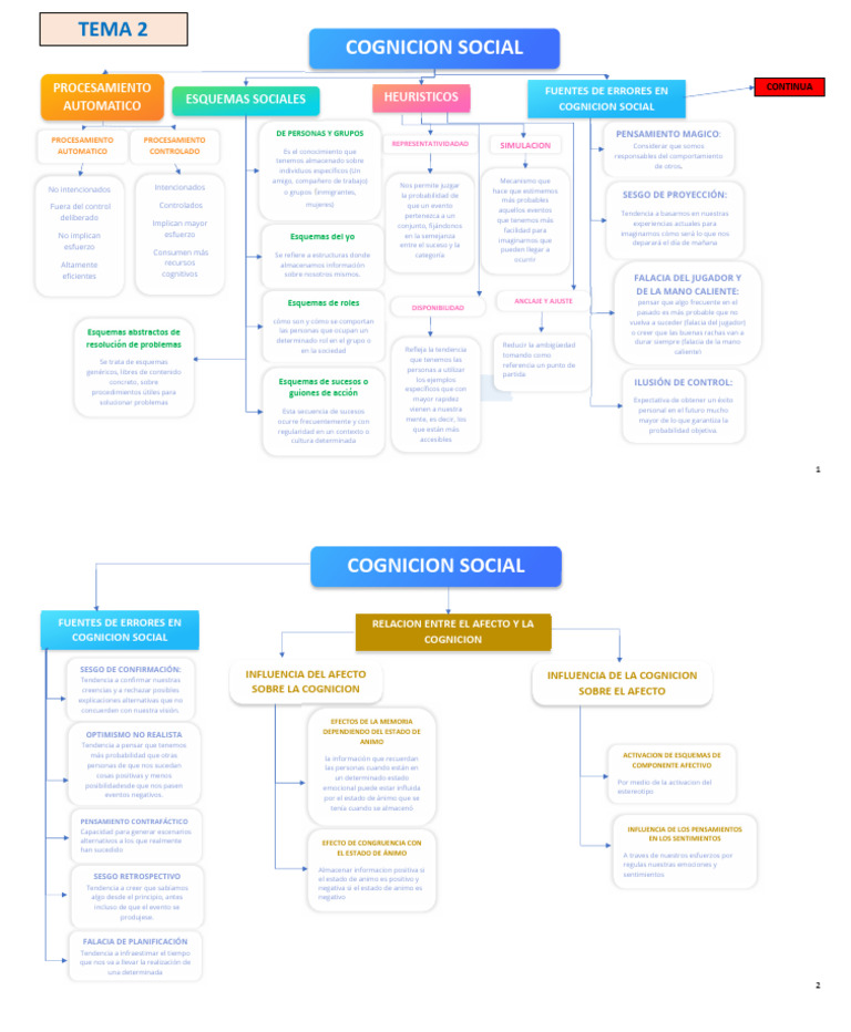 Tema 2 - Mapa Conceptual Cognicion Social | PDF | Pensamiento | Parcialidad
