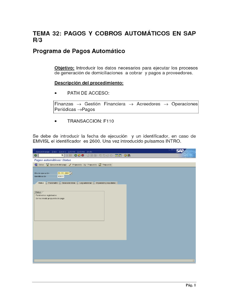 TEMA 32 - PAGOS Y COBROS AUTOMÁTICOS EN SAP R - 3 Programa de Pagos Automático - PDF | PDF