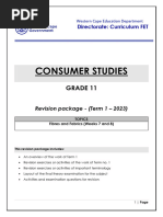 Grade 11 - 2024 Data Handling Task | PDF | Tourism | Business