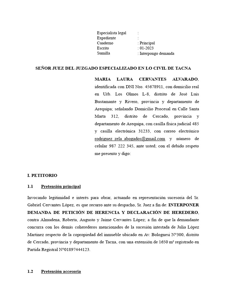 Demanda Peticion de Herencia - G8 | PDF | Herencia | Derecho privado