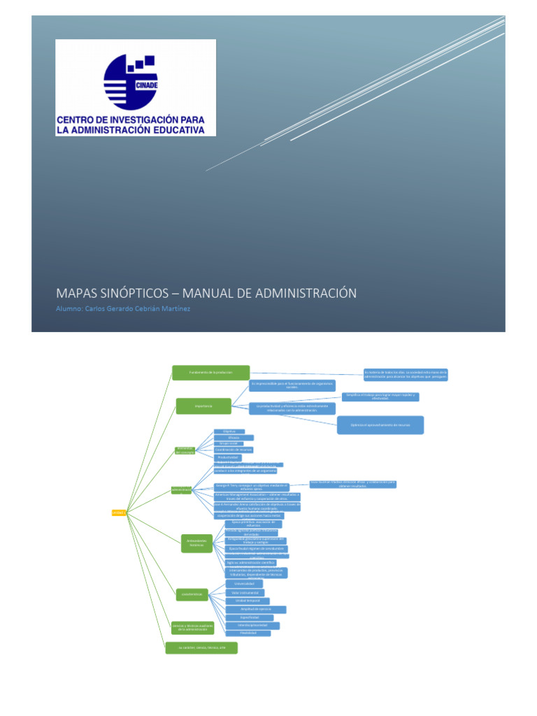 Mapas Sinopticos | PDF | Business | Economias