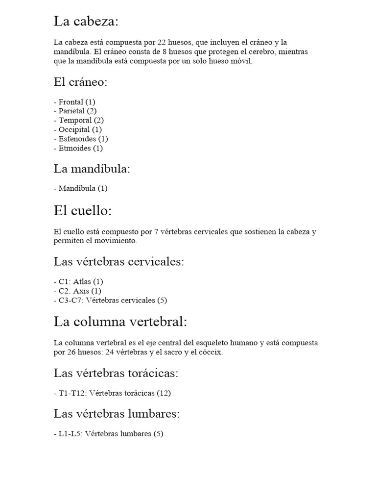 206 Huesos Del Cuerpo Humano Pdf Vértebra Tórax