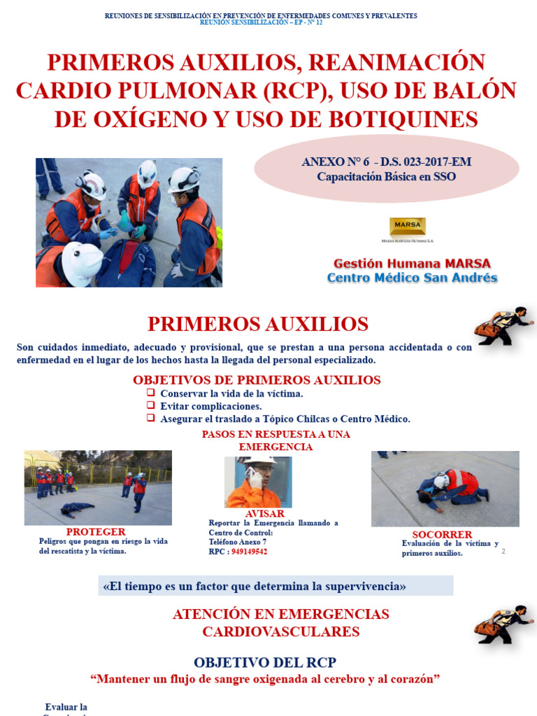 12-Primeros Auxilios (P) | PDF | Reanimación cardiopulmonar | Primeros auxilios