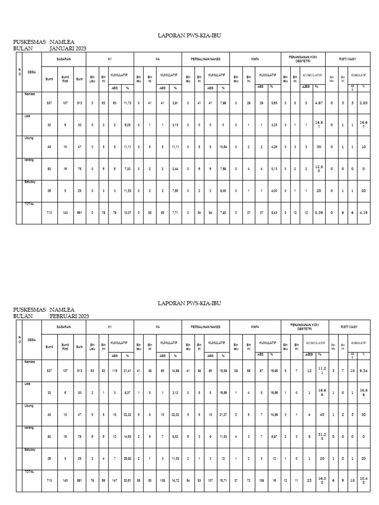 Bukti Fix Laporan Pws Ibu | PDF