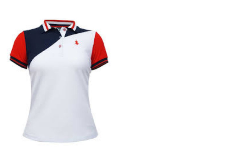 Modelo de Polo | PDF