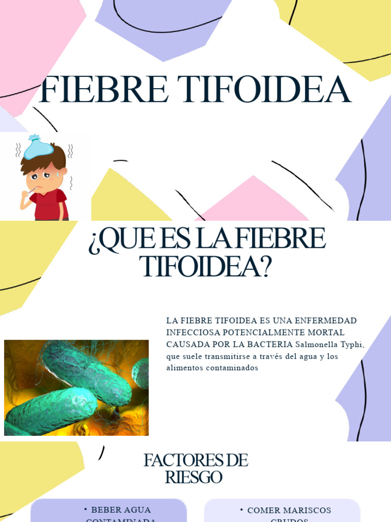 Fiebre Tifoidea | PDF | Salmonela | Medicina CLINICA