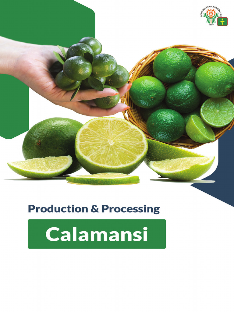 Calamansi Final | PDF | Pest (Organism) | Fertilizer