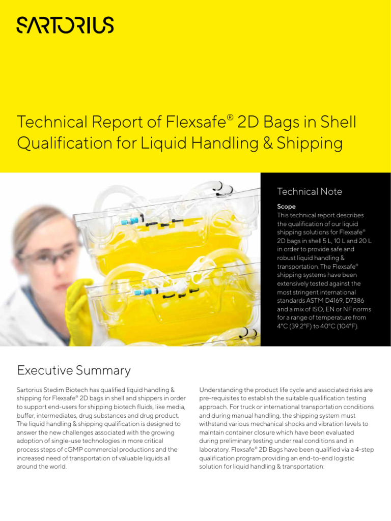 Technical Report 2d Bags | PDF | Packaging And Labeling | Verification And Validation