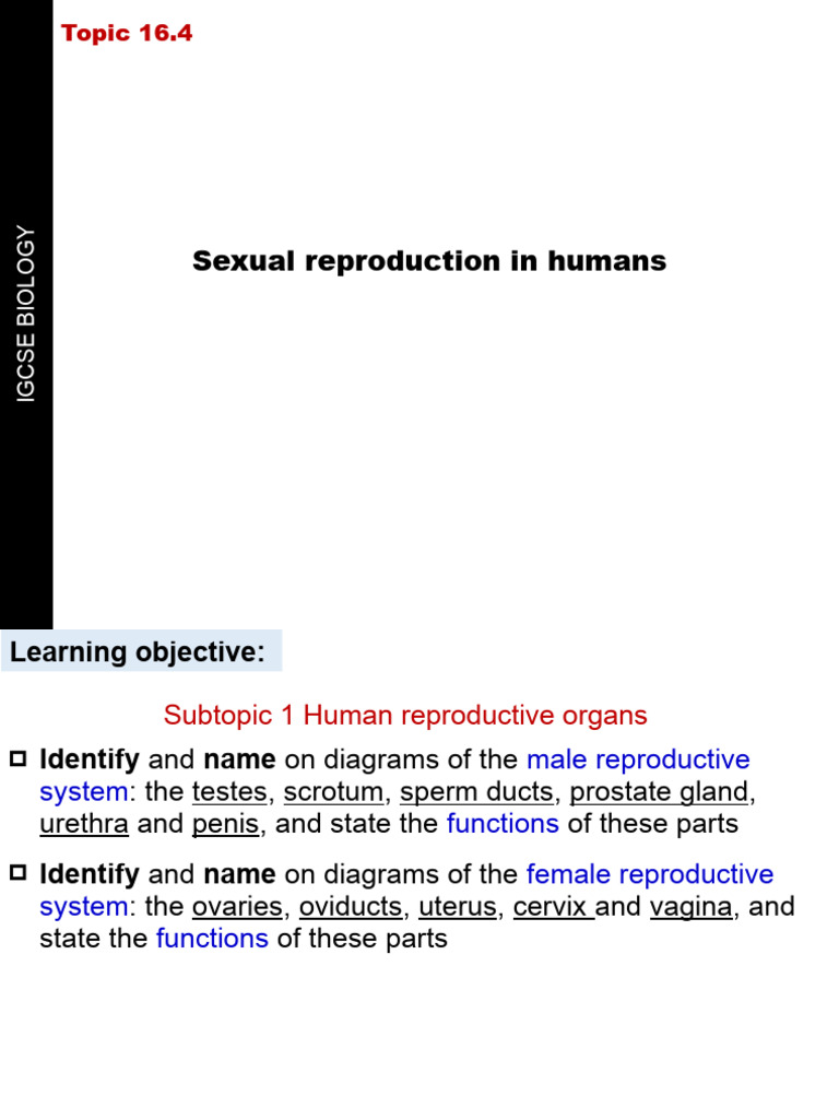 16.4 Sexual Reproduction in Humans | PDF | Reproductive System ...