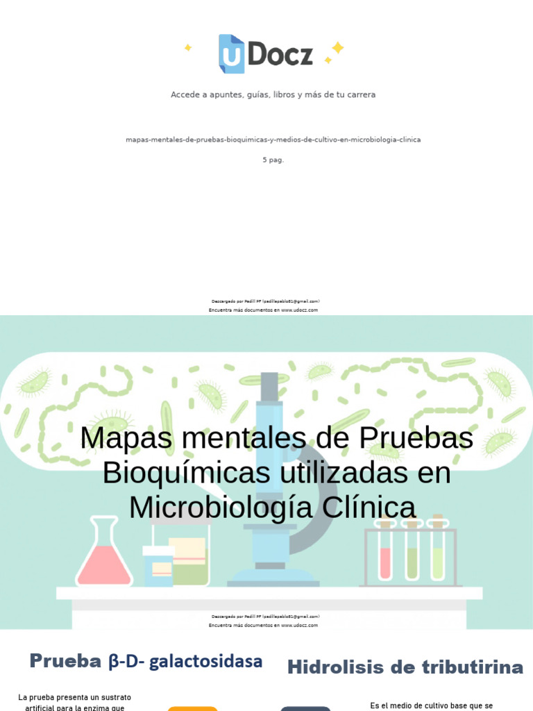Mapas Mentales de Pruebas Bioquimicas y Medios de Cultivo en Microbiologia Clinica 243692 ...