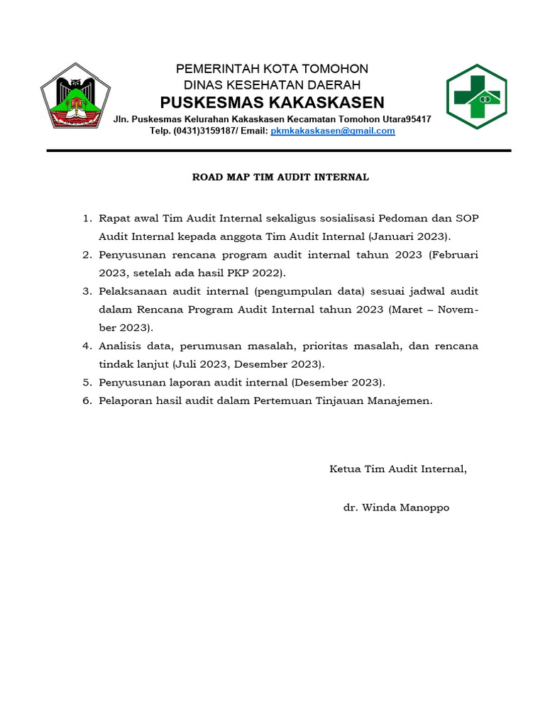 04-Road Map Tim Audit | PDF | Bisnis | Komputer