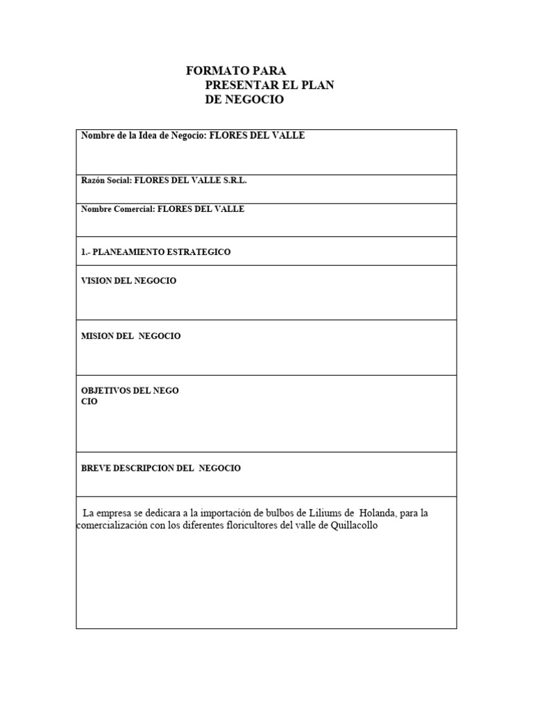 Formato Plan de Negocio 2 | PDF | Mercado (economía) | Producto (Negocio)