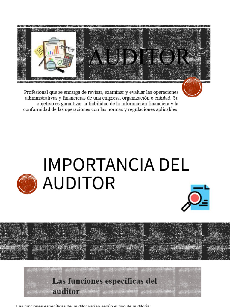El Auditor | PDF | Contralor | Auditoría