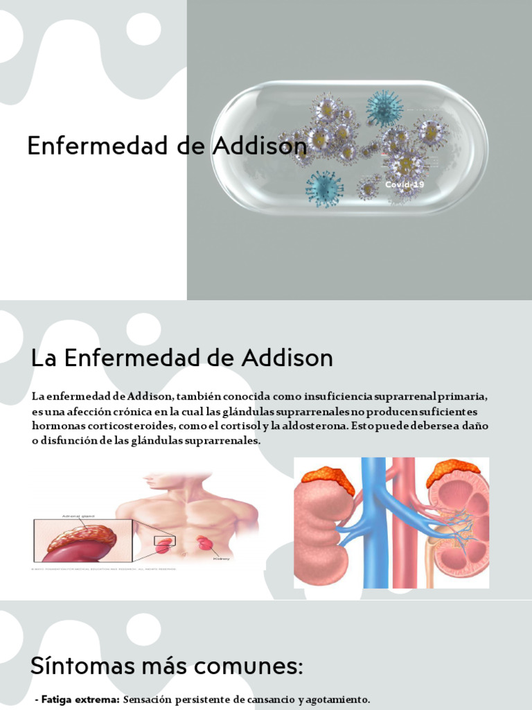 Enfermedad de Addison | PDF | Glándula suprarrenal | Hormona adrenocorticotrópica