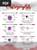 CODOCITOS | PDF | Glóbulo rojo | Sangre