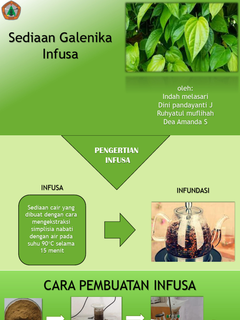 Panduan Pembuatan Infusa Nabati | PDF