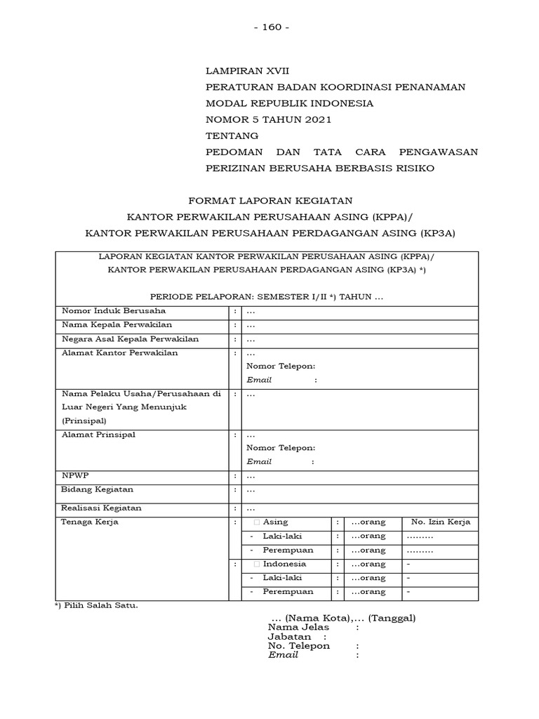 Laporan Kegiatan KPPA Dan KP3A | PDF