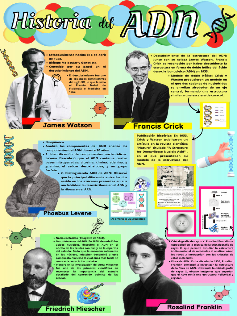 Historia del ADN | PDF | Adn | Francis Crick
