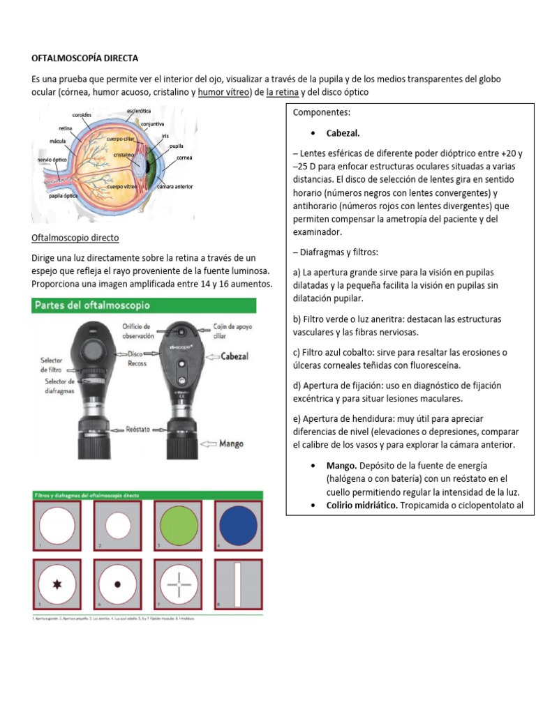 OFTALMOSCOPÍA DIRECTA | PDF | Ojo humano | Glaucoma