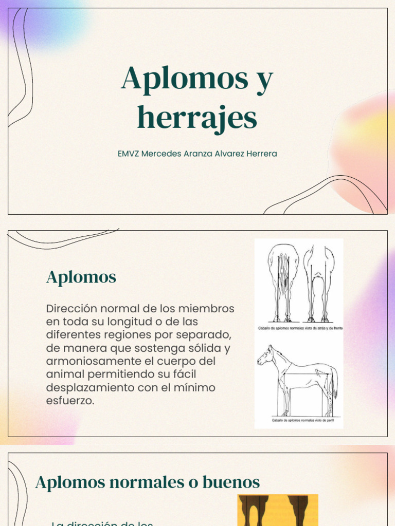 Aplomos | PDF | Rodilla | Articulación