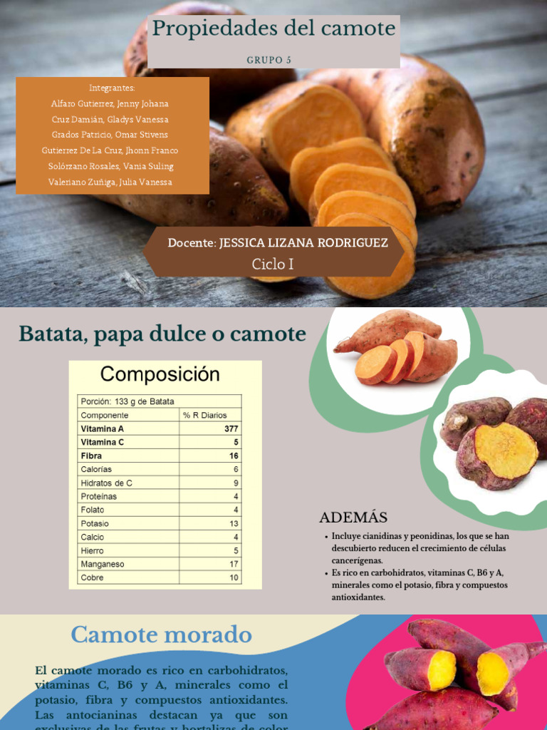 Propiedades Del Camote | PDF