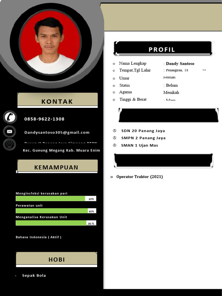 Profil Dandy Santoso | PDF