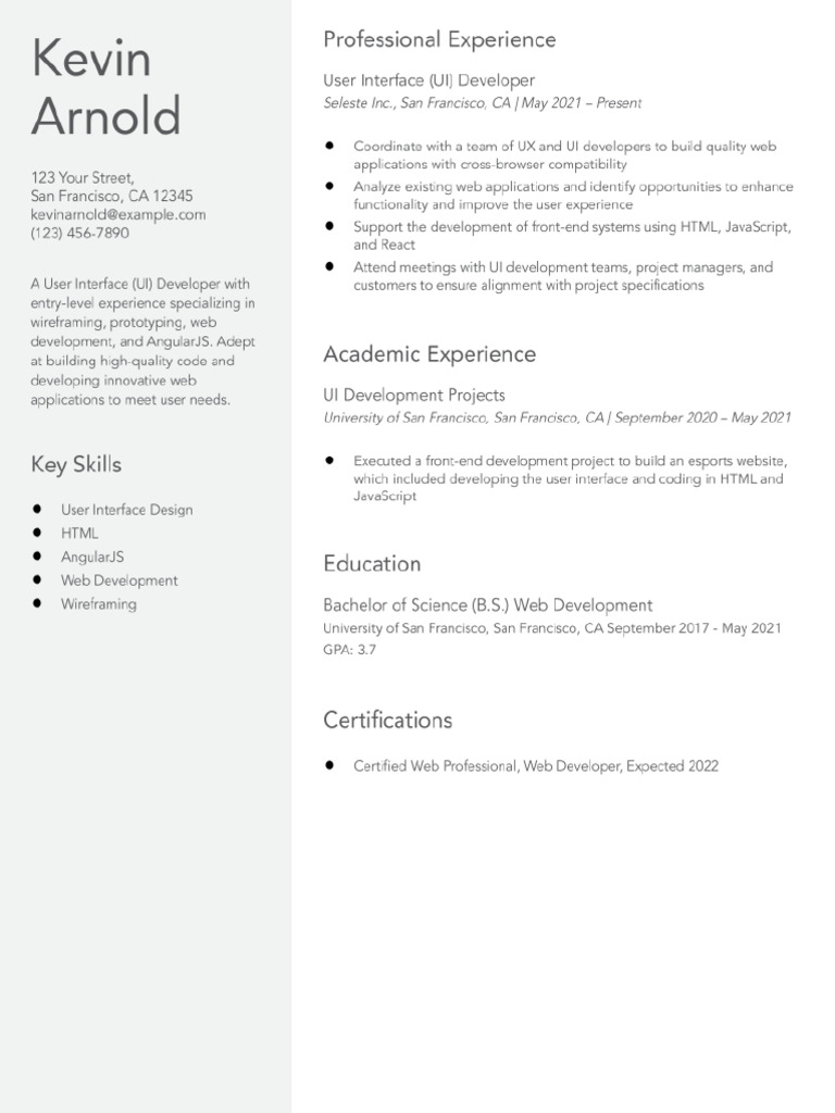 User Interface UI Developer - Entry Level | PDF