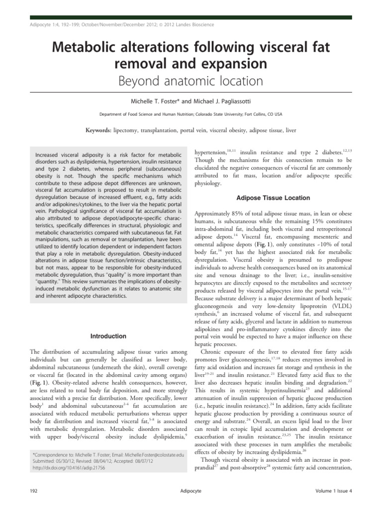 Metabolic Alterations Following Visceral Fat | PDF | Adipose Tissue ...
