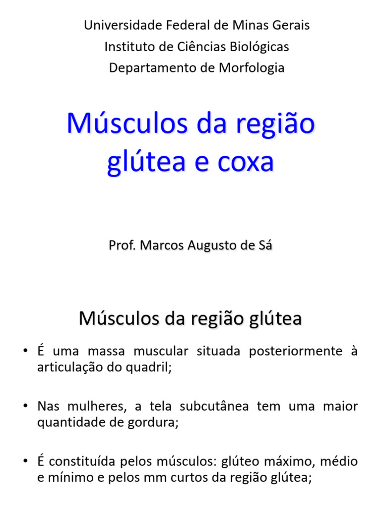 Músculos Da Região Glútea e Coxa | PDF | Pélvis | Sistema Locomotor