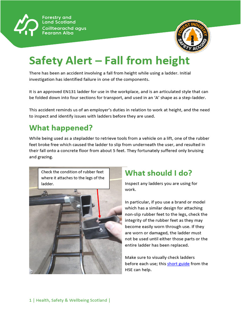 FLS Safety Alert - Ladder Fall From Height - October 2020 | PDF ...