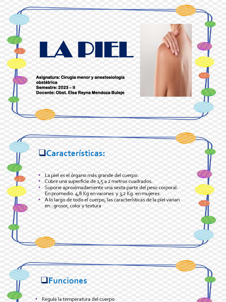 Piel | PDF | Piel | Epidermis