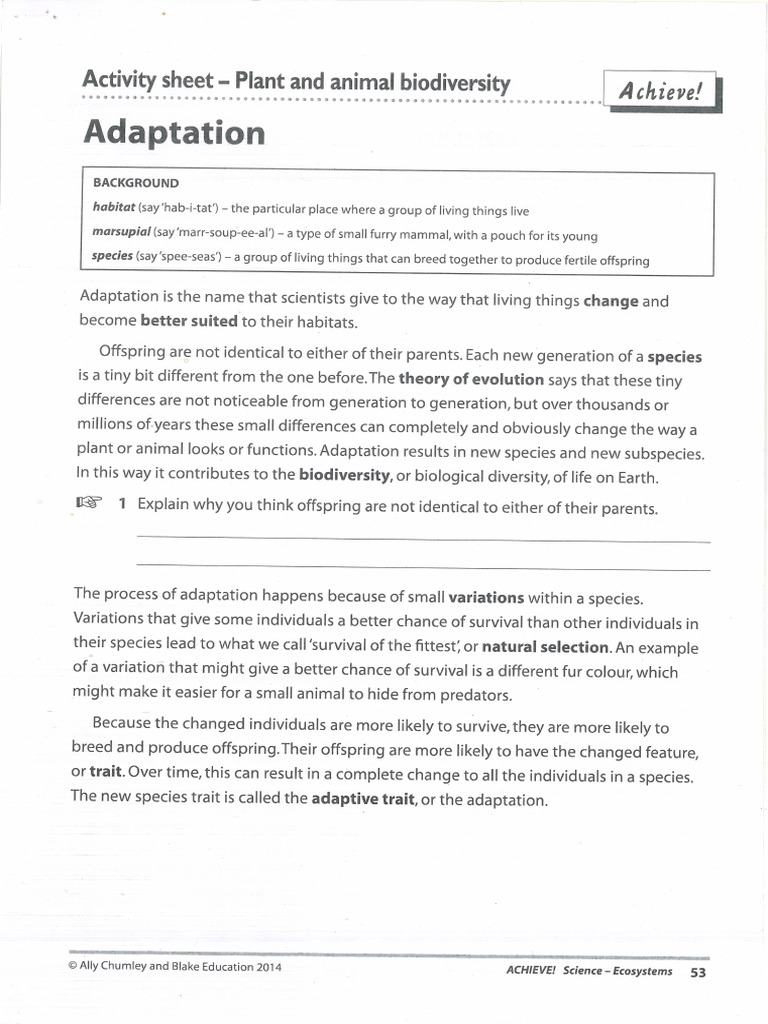 Adaptation | PDF