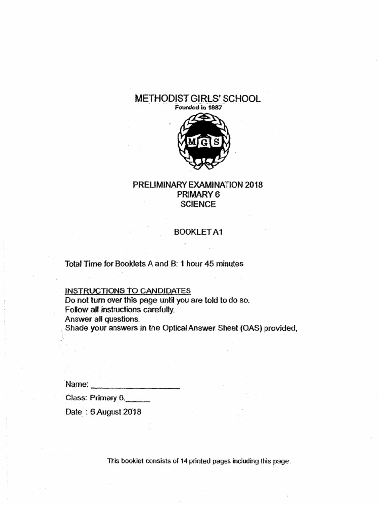 P6 Science SA2 2018 MGS Exam Papers | PDF
