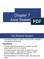 Unlabeled Axial Skeleton Overview | PDF | Skull | Skeletal System