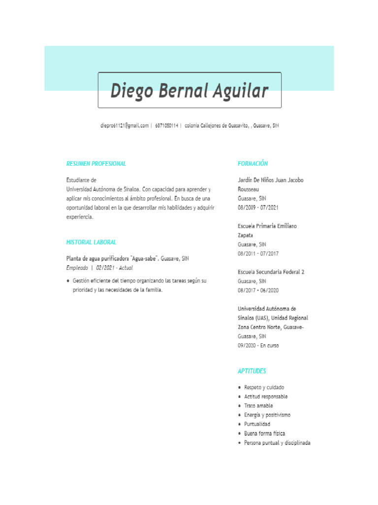 Curriculum DBA | PDF