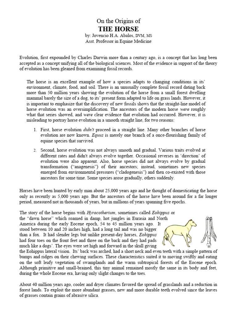 Evolution of the Horse: A Timeline | PDF | Horses | Equus (Genus)