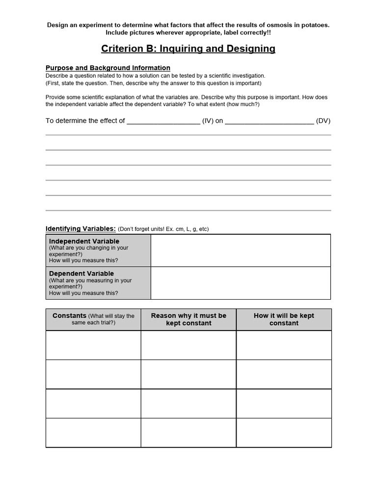 Criterion B: Inquiring and Designing: Purpose and Background ...