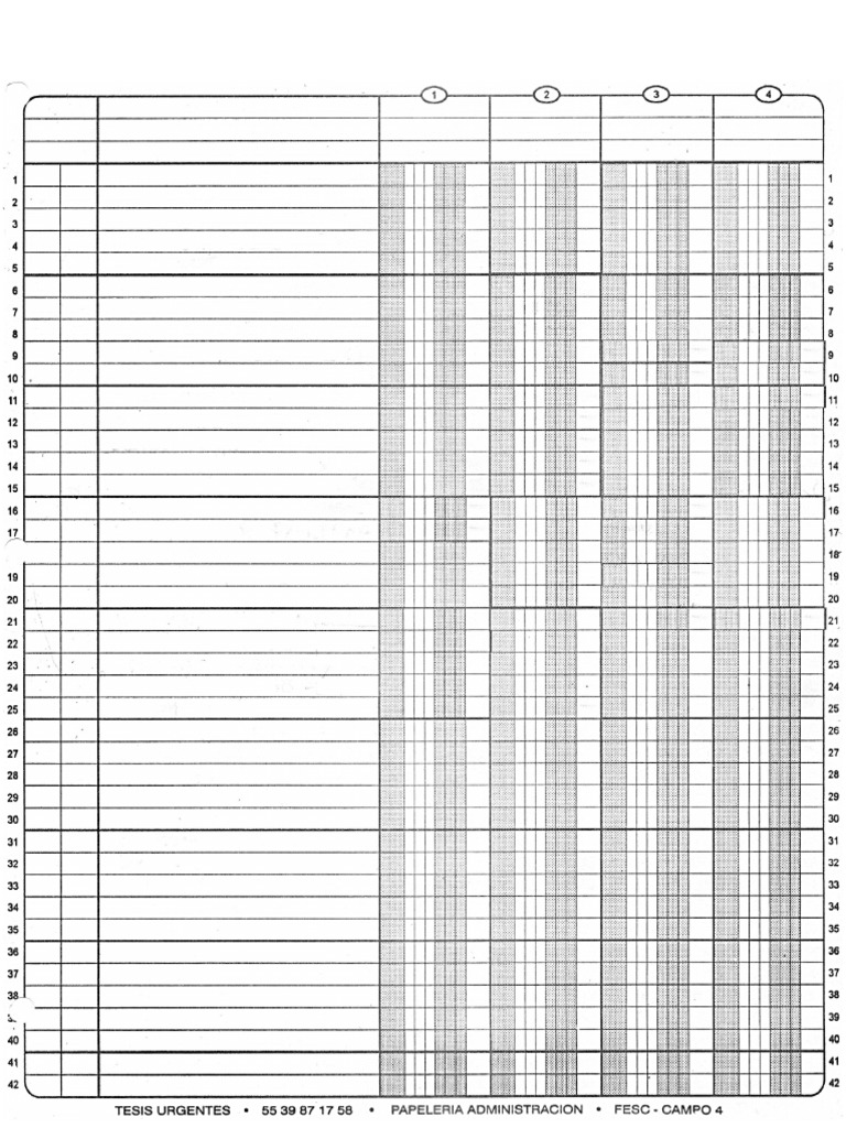 Hoja de 4 Columnas Contabilidad | PDF