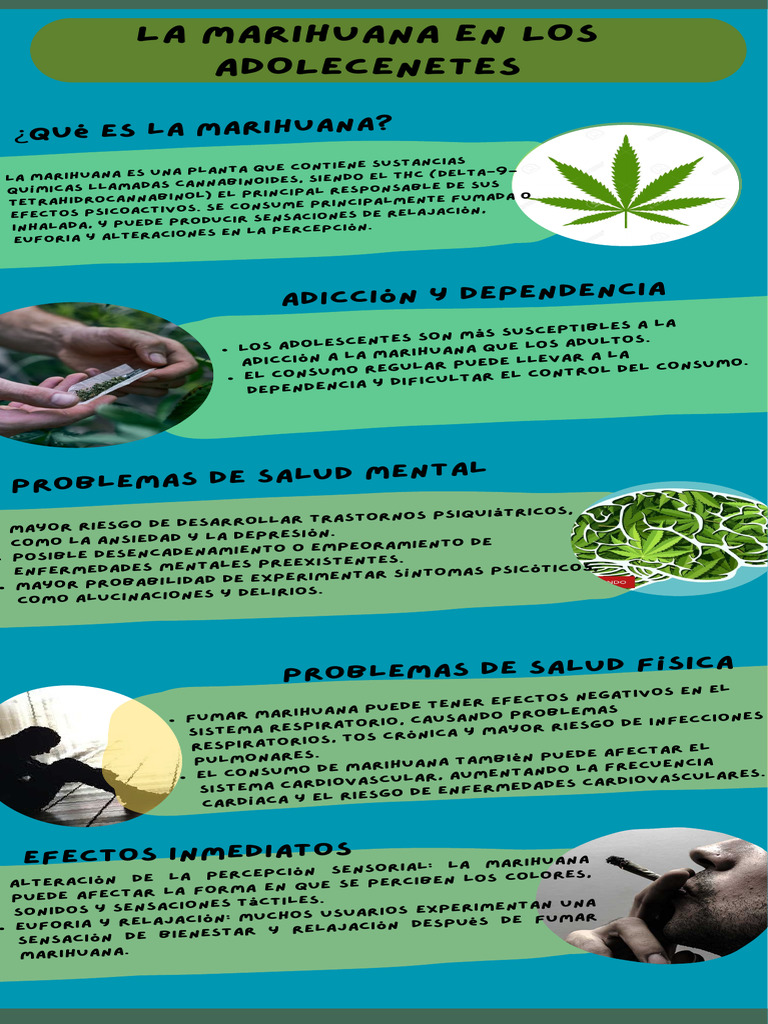 La Marihuana En Los Adolecenetes Pdf Cannabis Droga Medicina